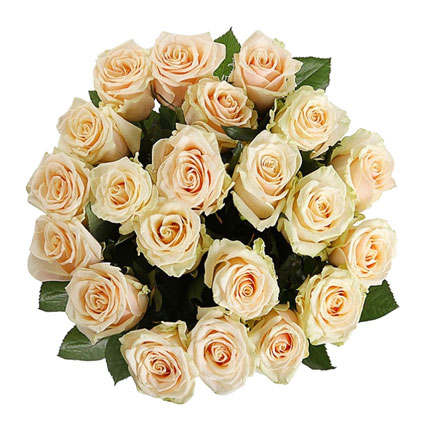 Flower Delivery | Cream Rose Bouquet