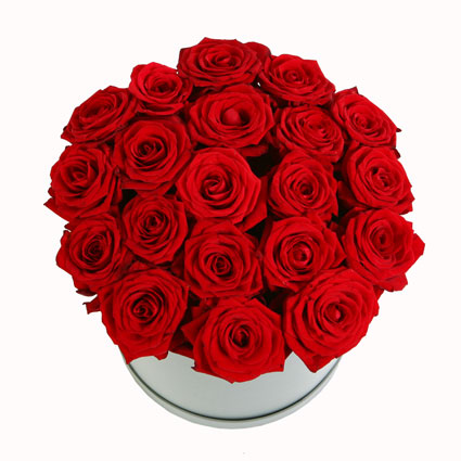 Ziedu piegāde | Sarkanas rozes dāvanu kārbā